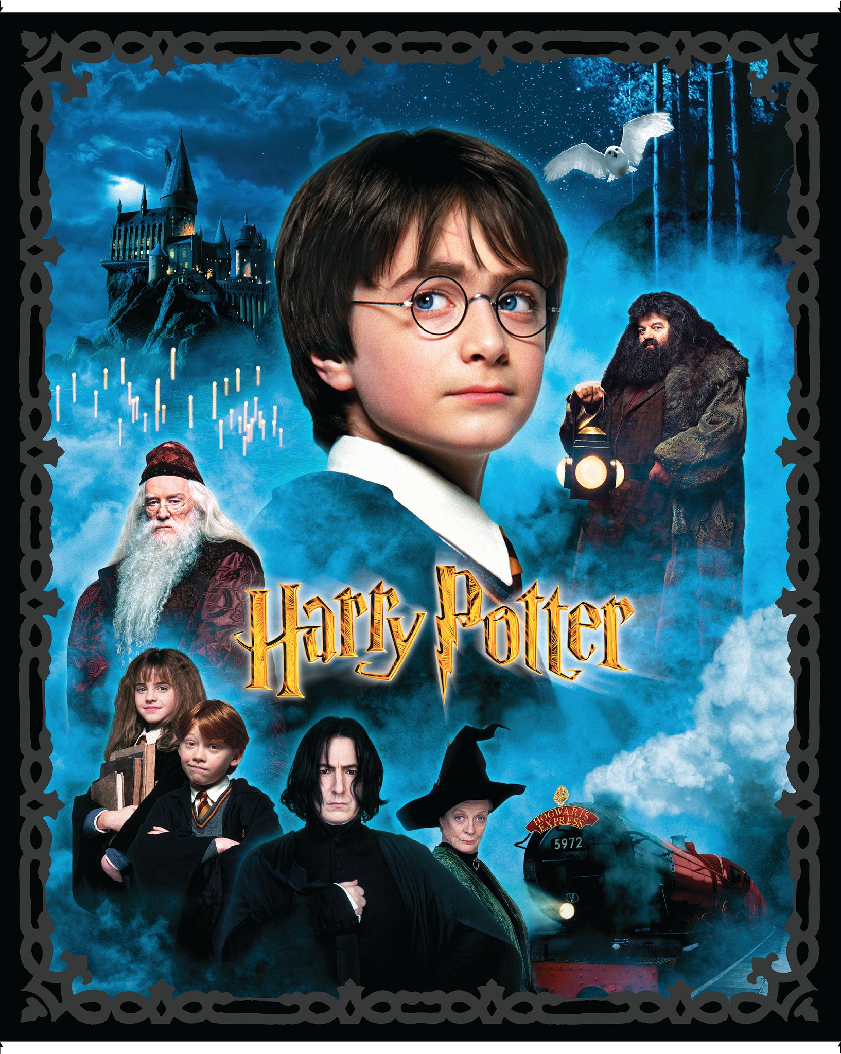 Harry Potter Panel – Material Girls Quilt Boutique